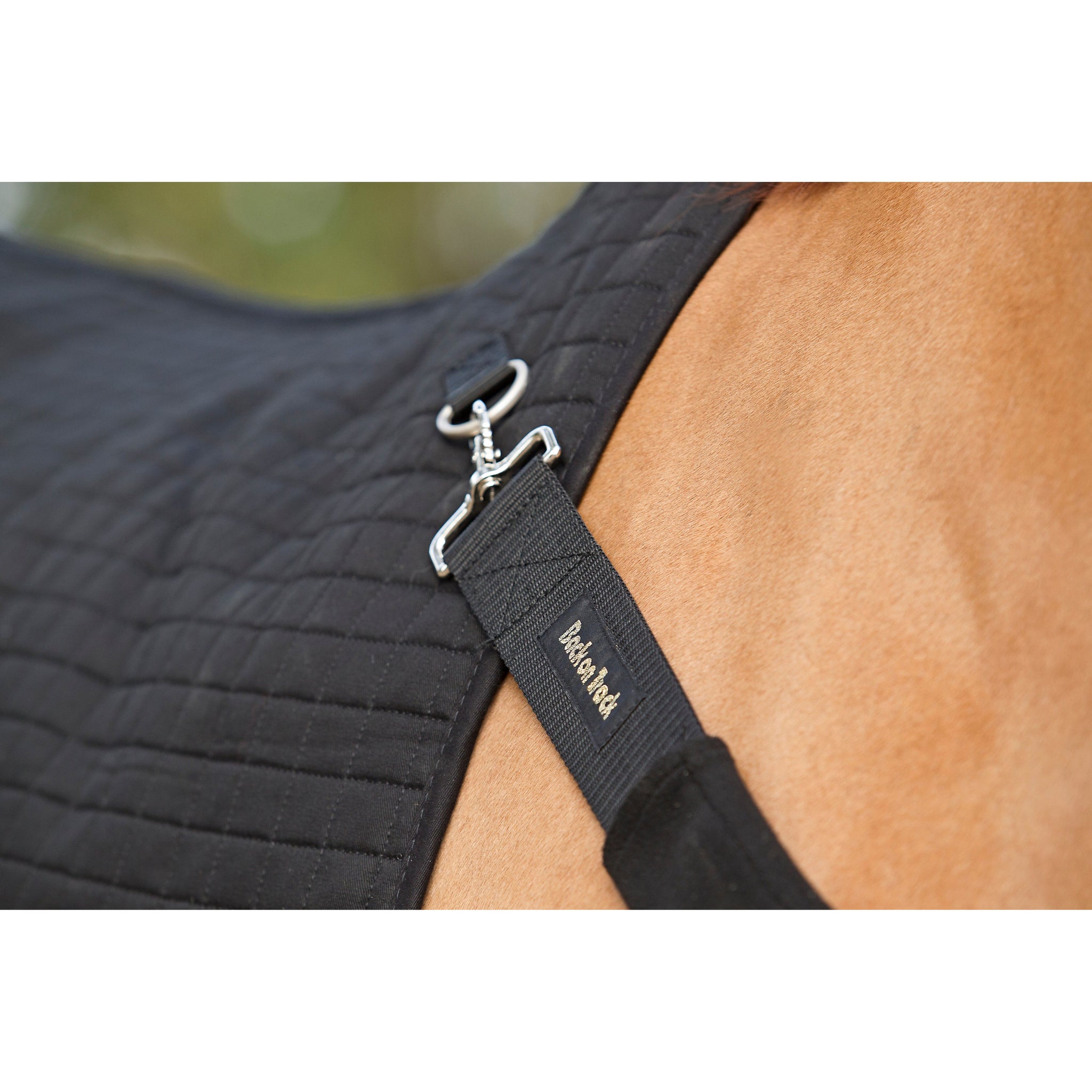 Royal Back Warmer – Back on Track Products Australia