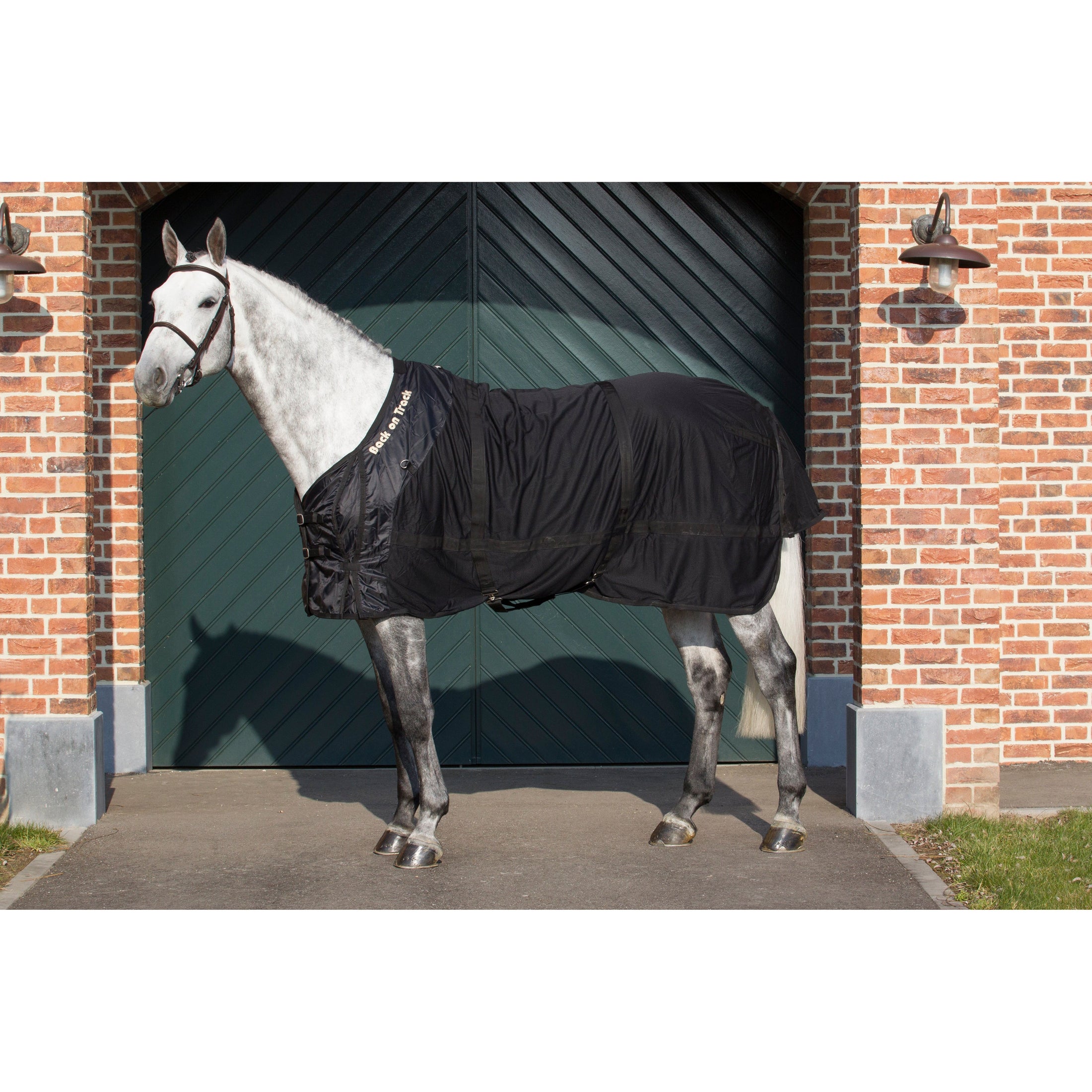Mesh Rug – Back on Track Products Australia