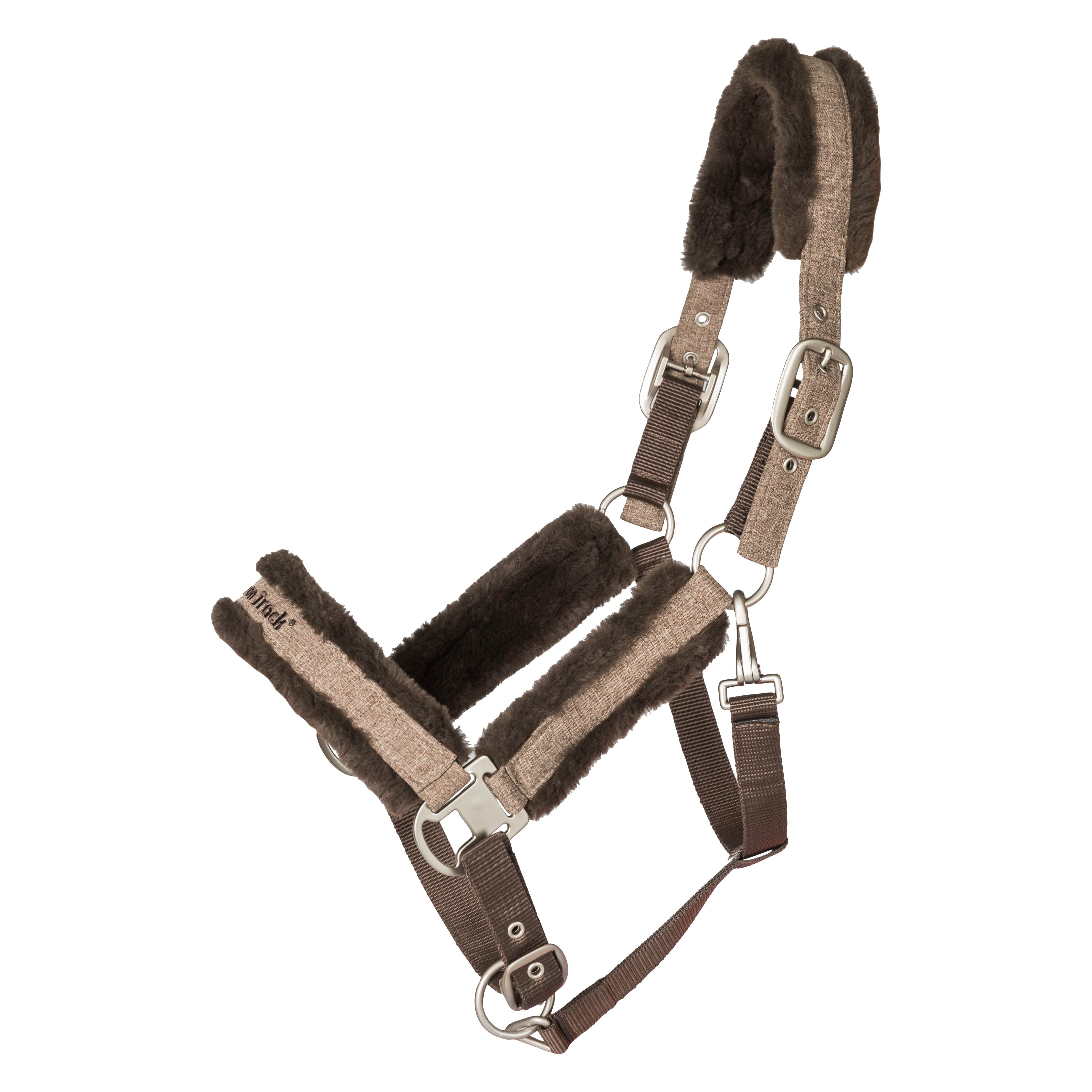 Horse - Head and Neck – Back on Track Products Australia
